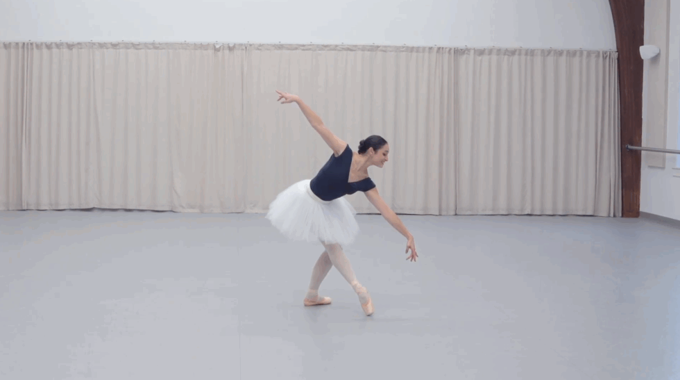 What Did Petipa's Original Choreography for The Sleeping Beauty's ...